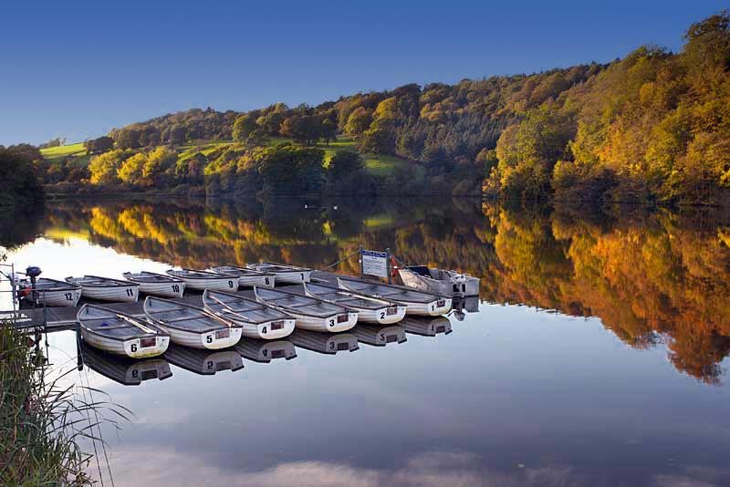 Welcome to Fife - things to do search results