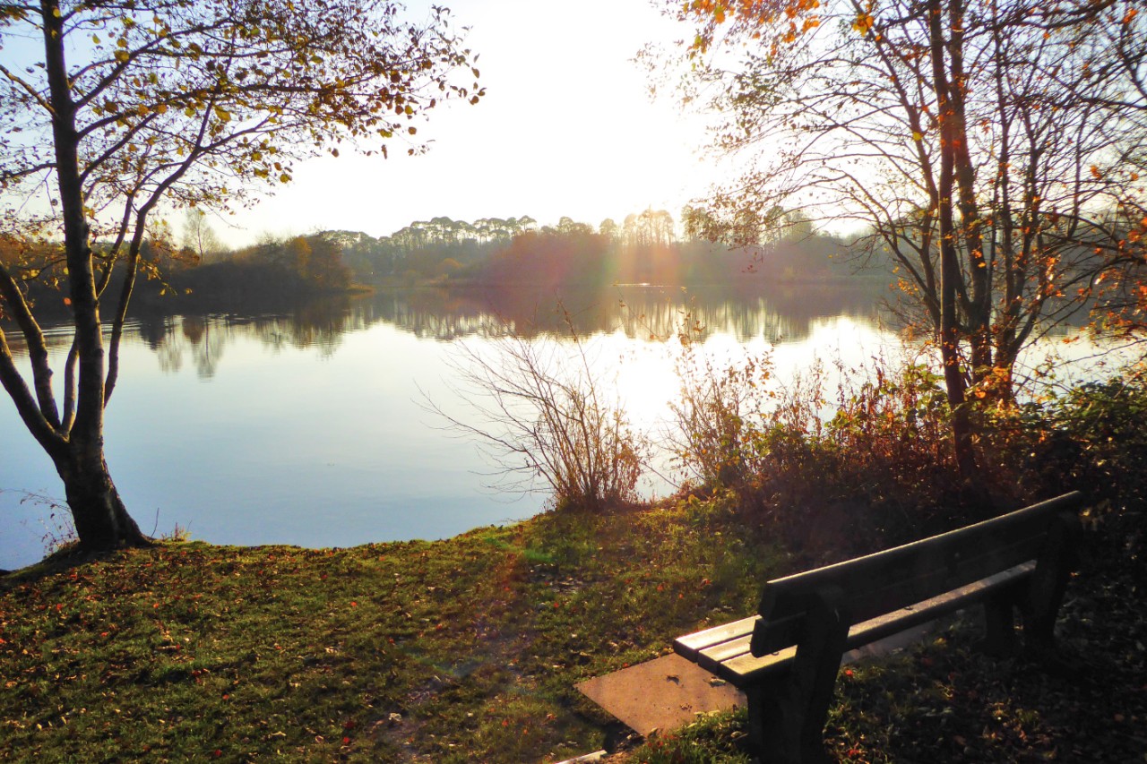 Welcome to Fife : EASY Walk - Birnie & Gaddon Lochs