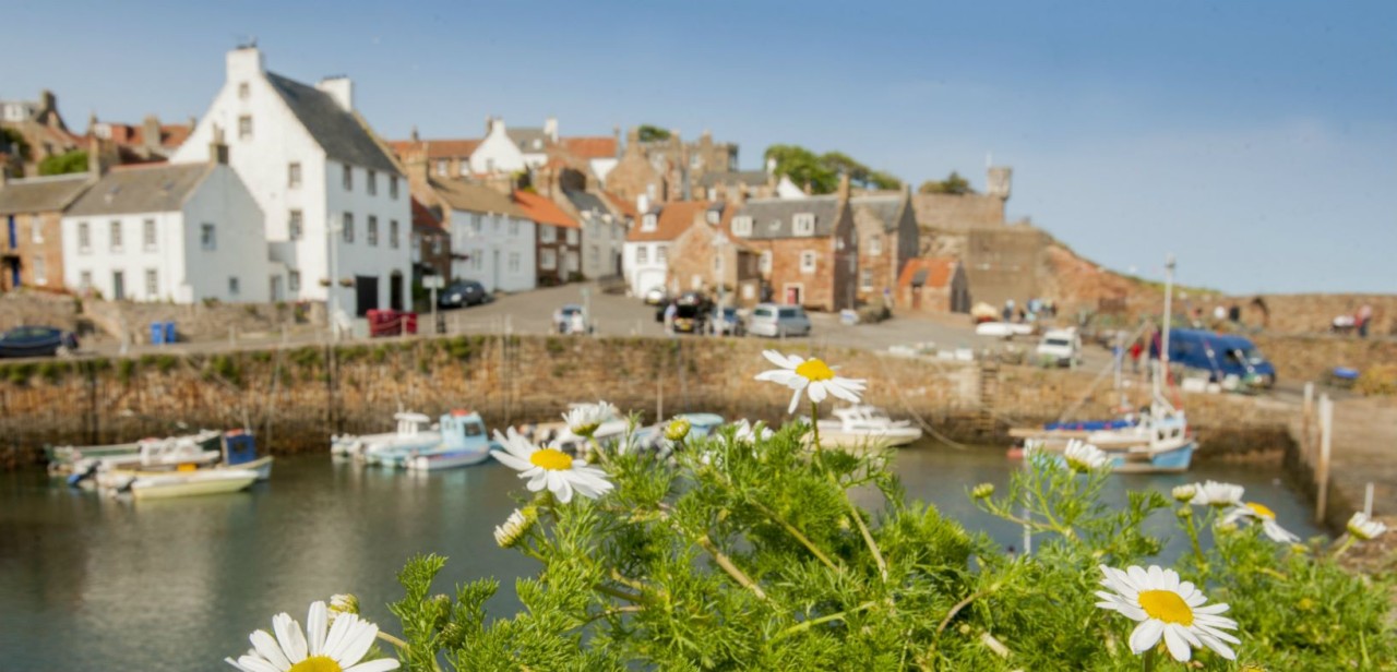 Welcome to Fife : A Journey Through Scotland's Ancient Kingdom