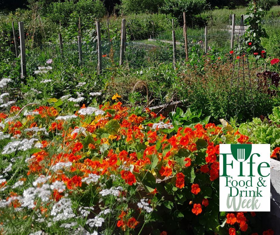 Welcome to Fife : Fruit Tree Distribution