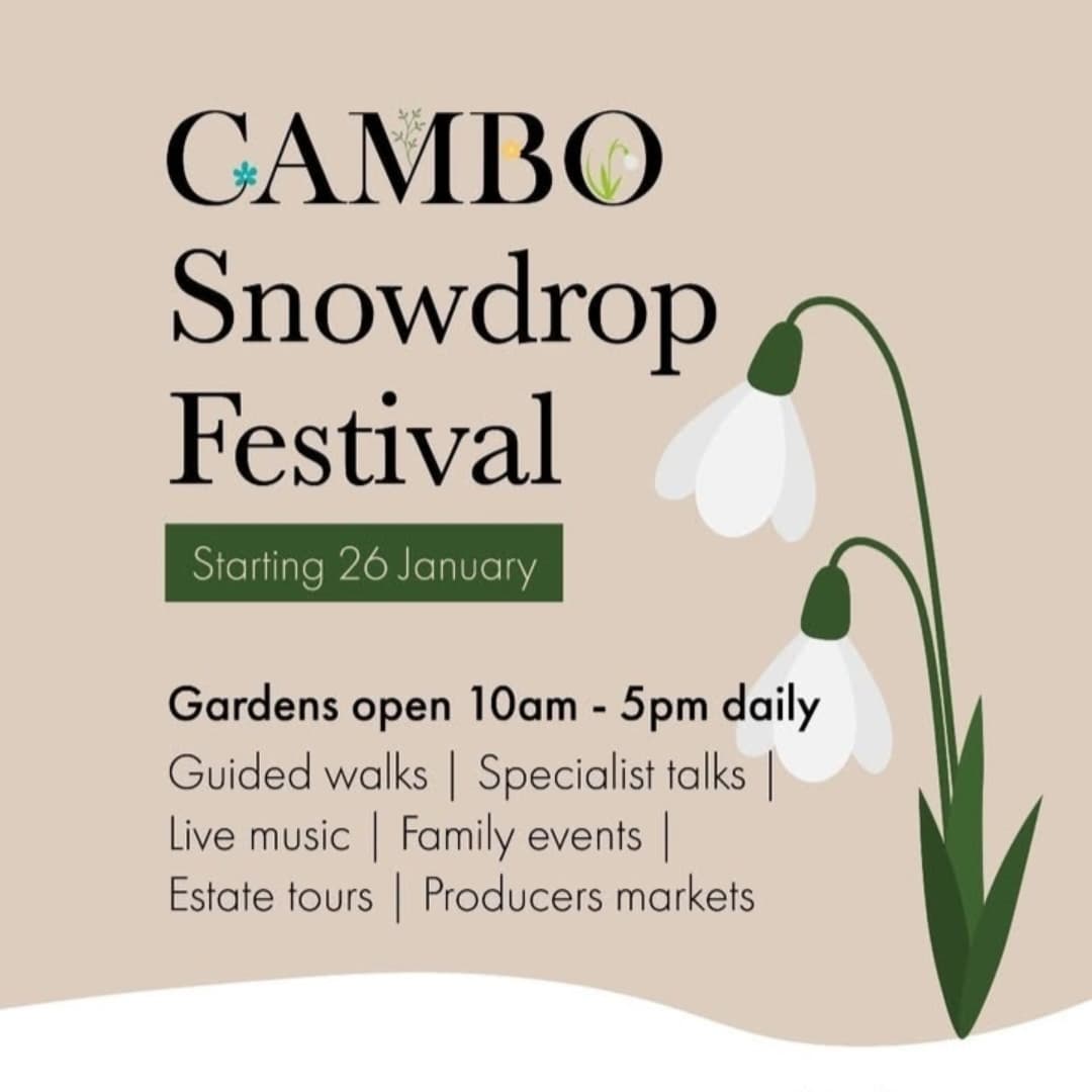 Welcome to Fife : Cambo Snowdrop Festival