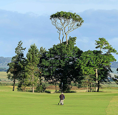 View St Andrews Links, Strathyrum Course on Welcome To Fife.