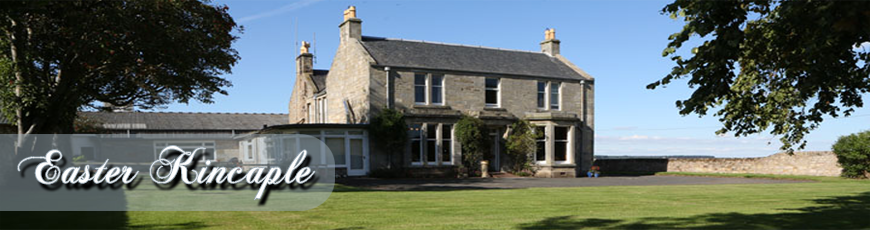 Fife 191 | St Andrews