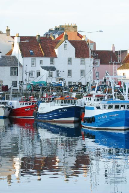 Fife business - Pittenweem Harbour