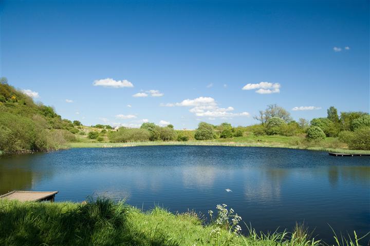 Fife business - Dalbeath Marsh