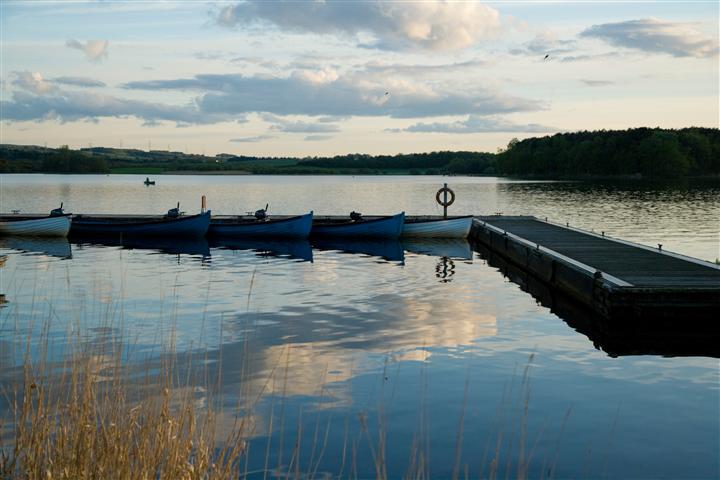 Fife 191 | Lochore Meadows Country Park