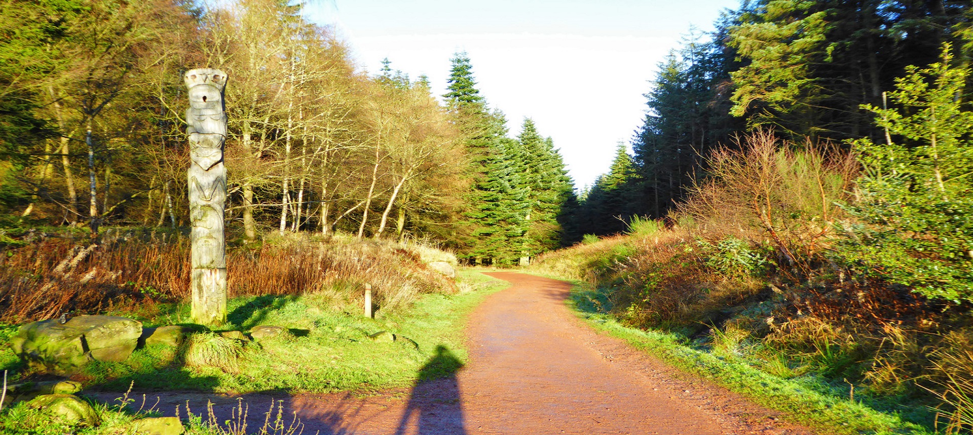 Welcome to Fife : MIDDLING Walk – Blairadam Forest